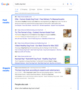 Definitive Guide To Paid Search Advertising - Salespanel